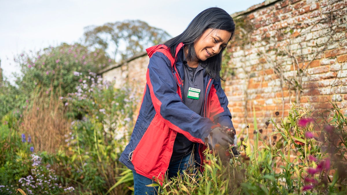 Volunteering in Norfolk | National Trust