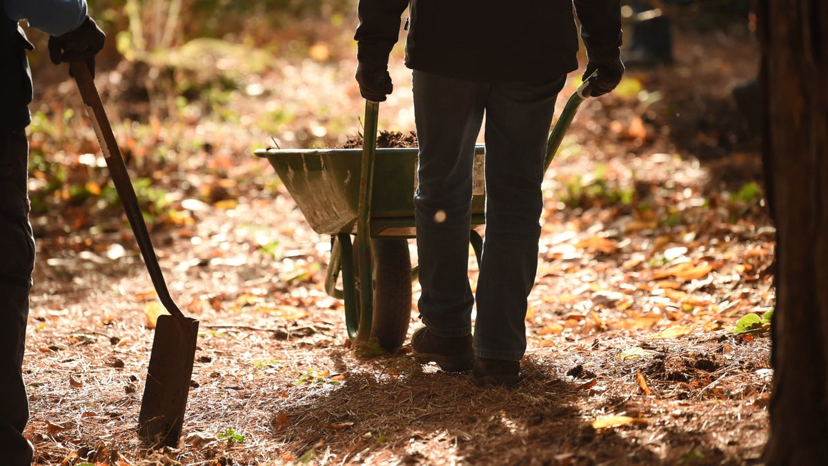 Volunteer at Colby Woodland Garden | Wales | National Trust