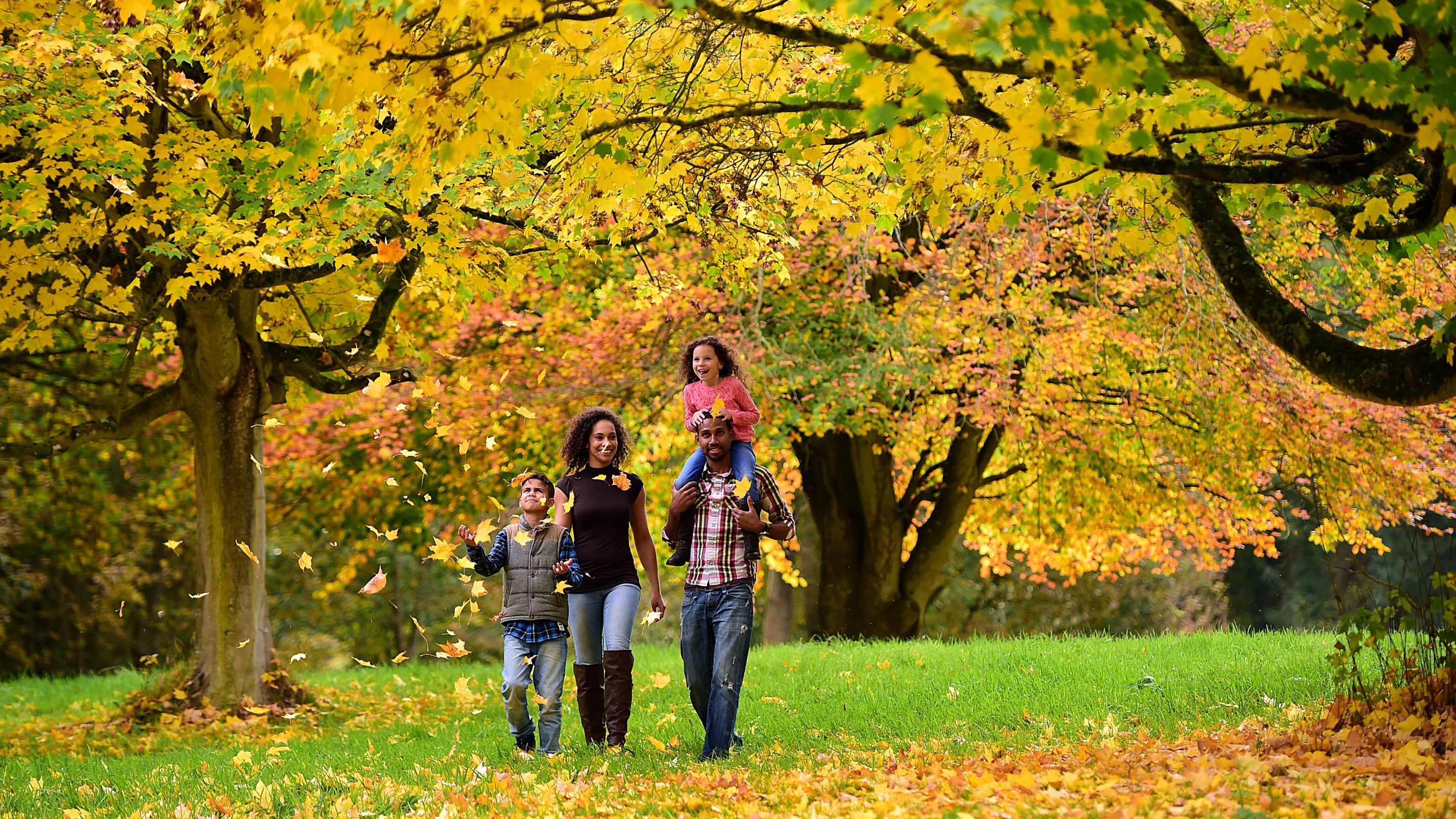 Saltram | Devon | National Trust