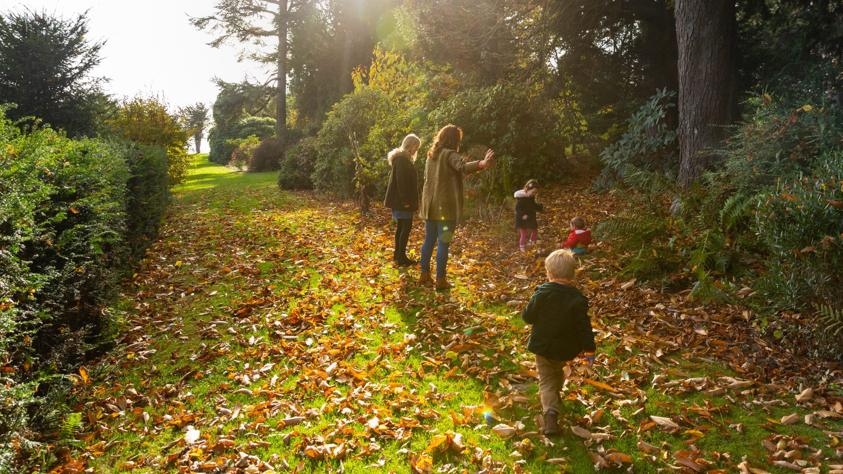 Best walks in Oxfordshire, Bucks and Berks | National Trust
