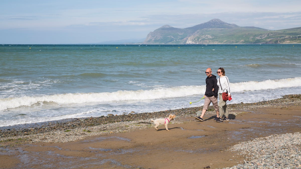 Best UK coast and sea walks | National Trust