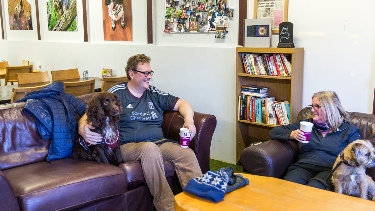 Best walks with dog-friendly cafés | National Trust