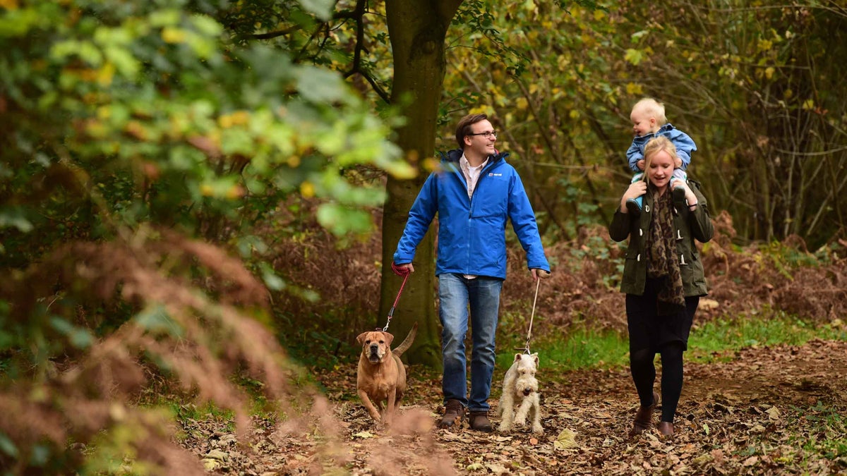 Explore Petts Wood and Hawkwood | Kent | National Trust