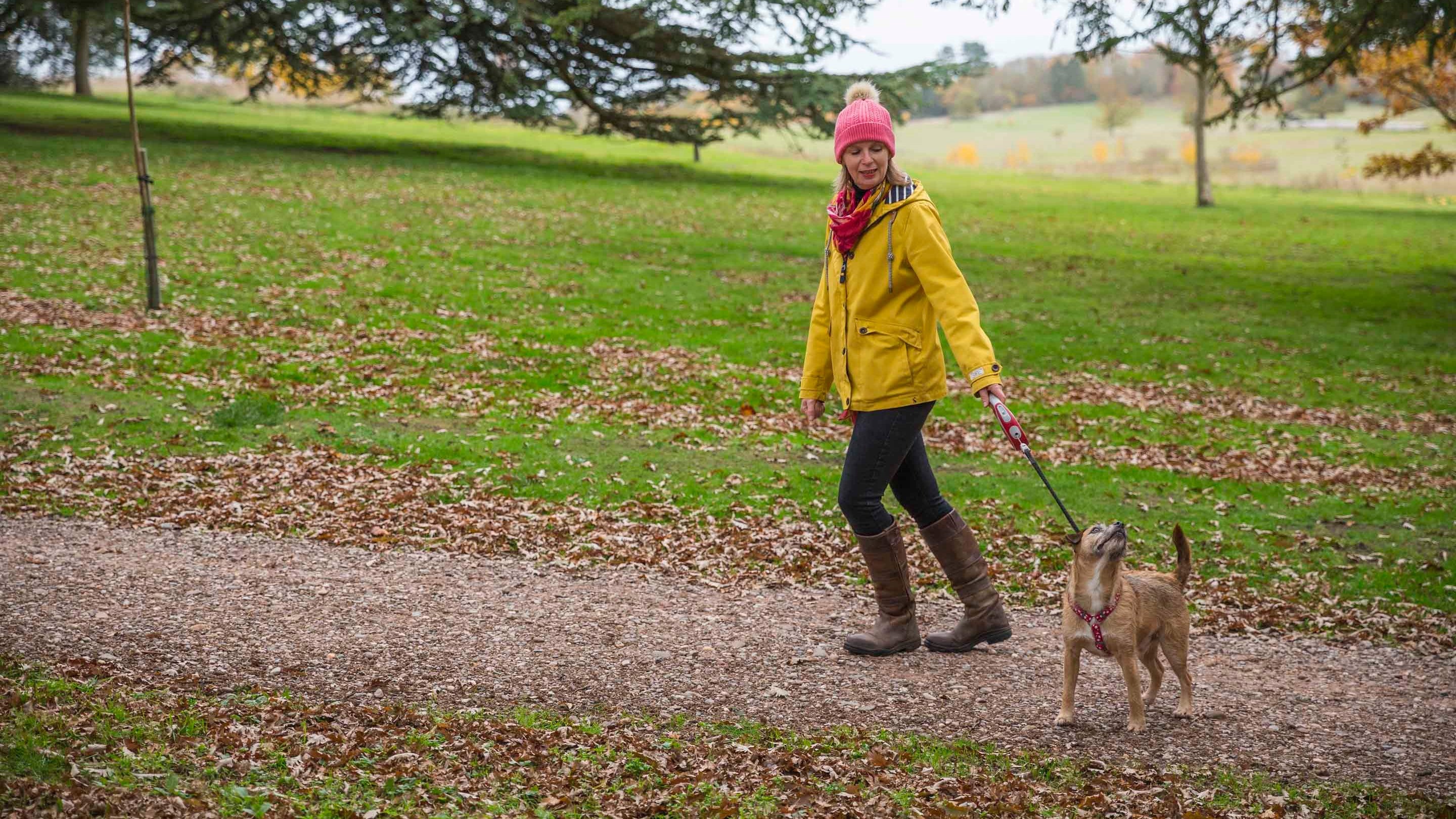 Dog walking at Croome | Worcestershire | National Trust