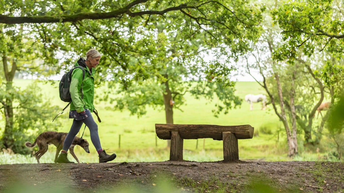 Dog walking at Gawthorpe Hall │ Lancashire | National Trust