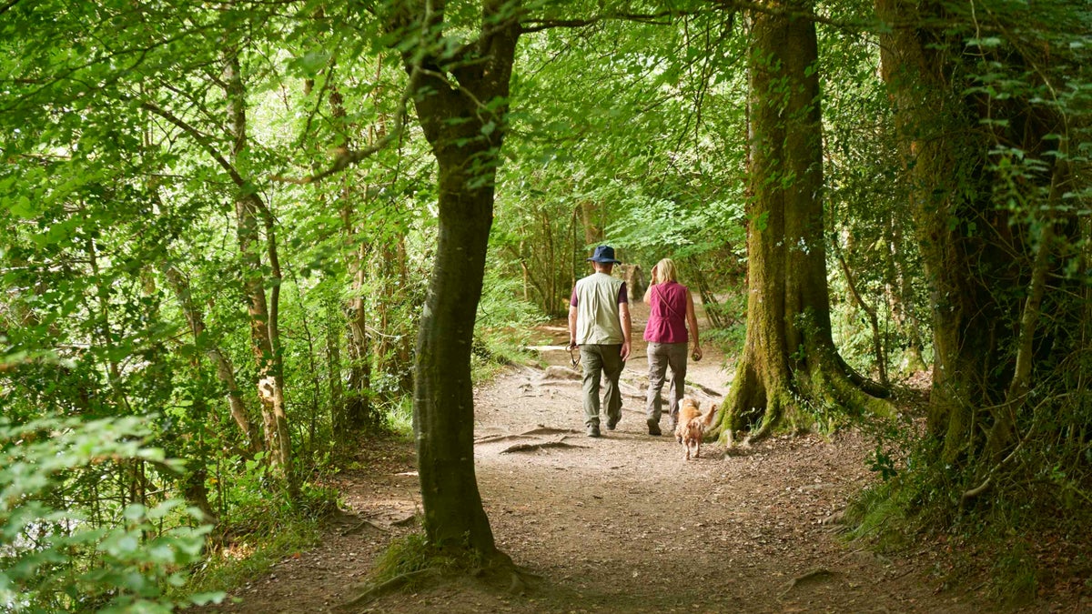 Walking in Devon | National Trust