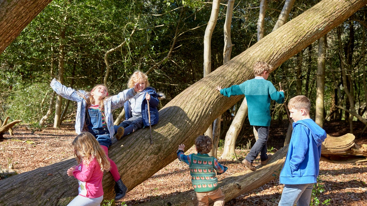 Family days out, activities and attractions | National Trust