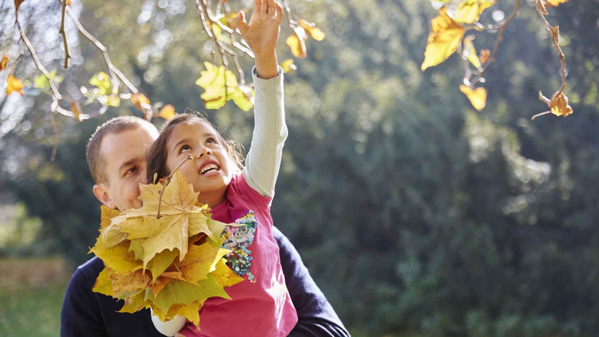 Autumn family fun │ Upton House | Warks | National Trust