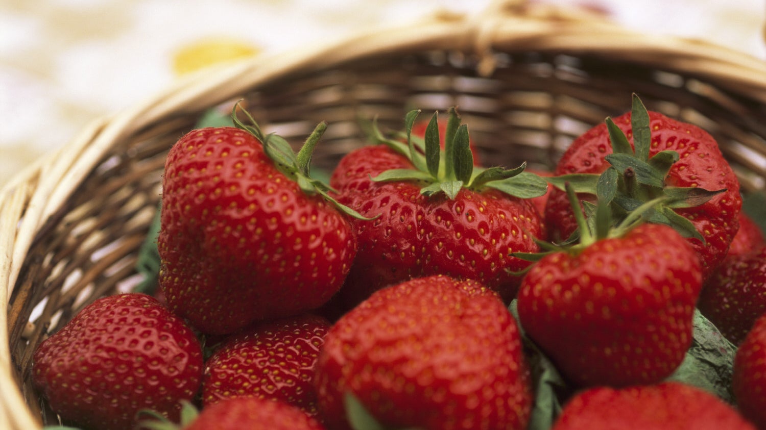 Farm shops | National Trust