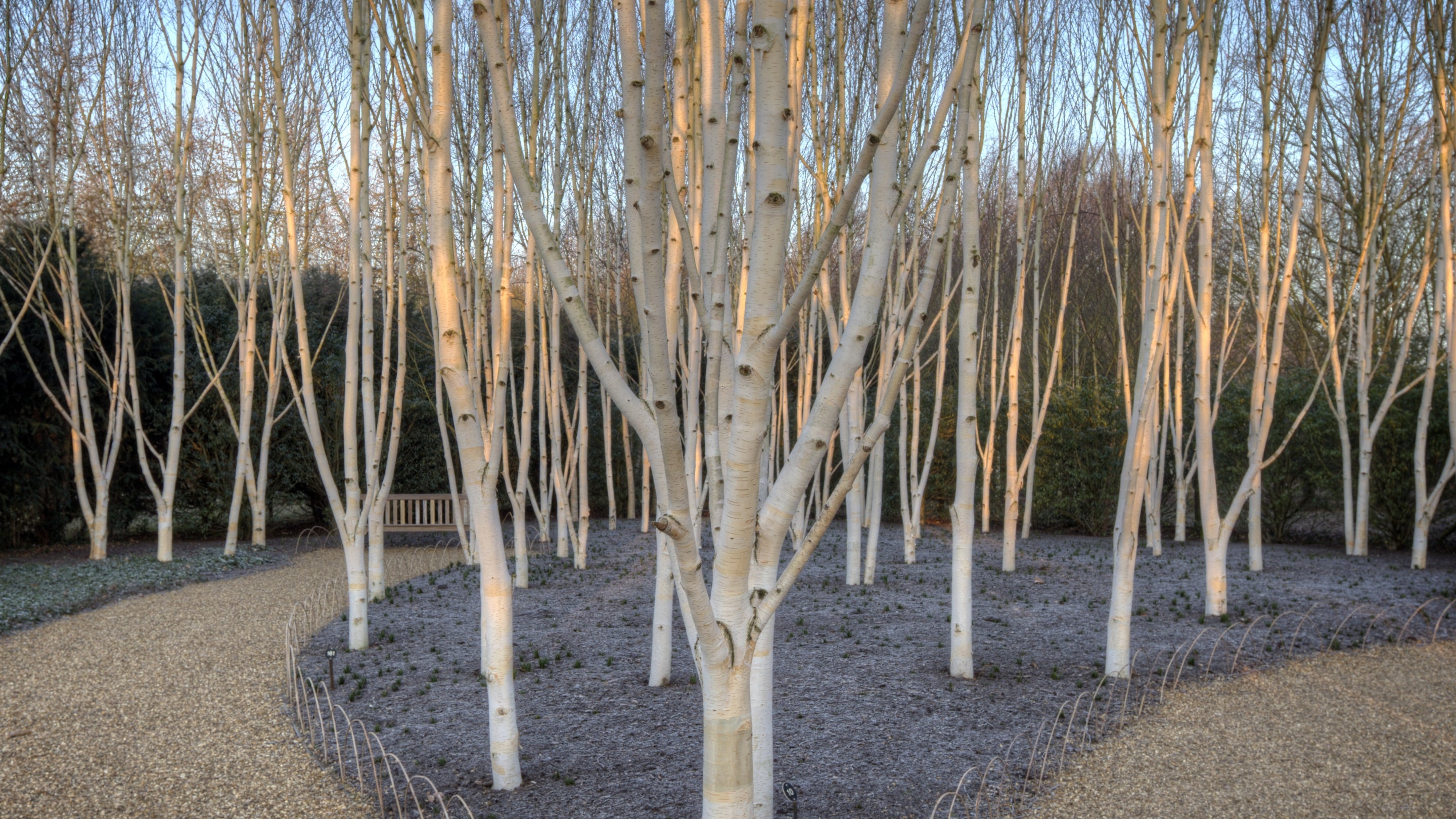 Gardens in Cambridgeshire | National Trust