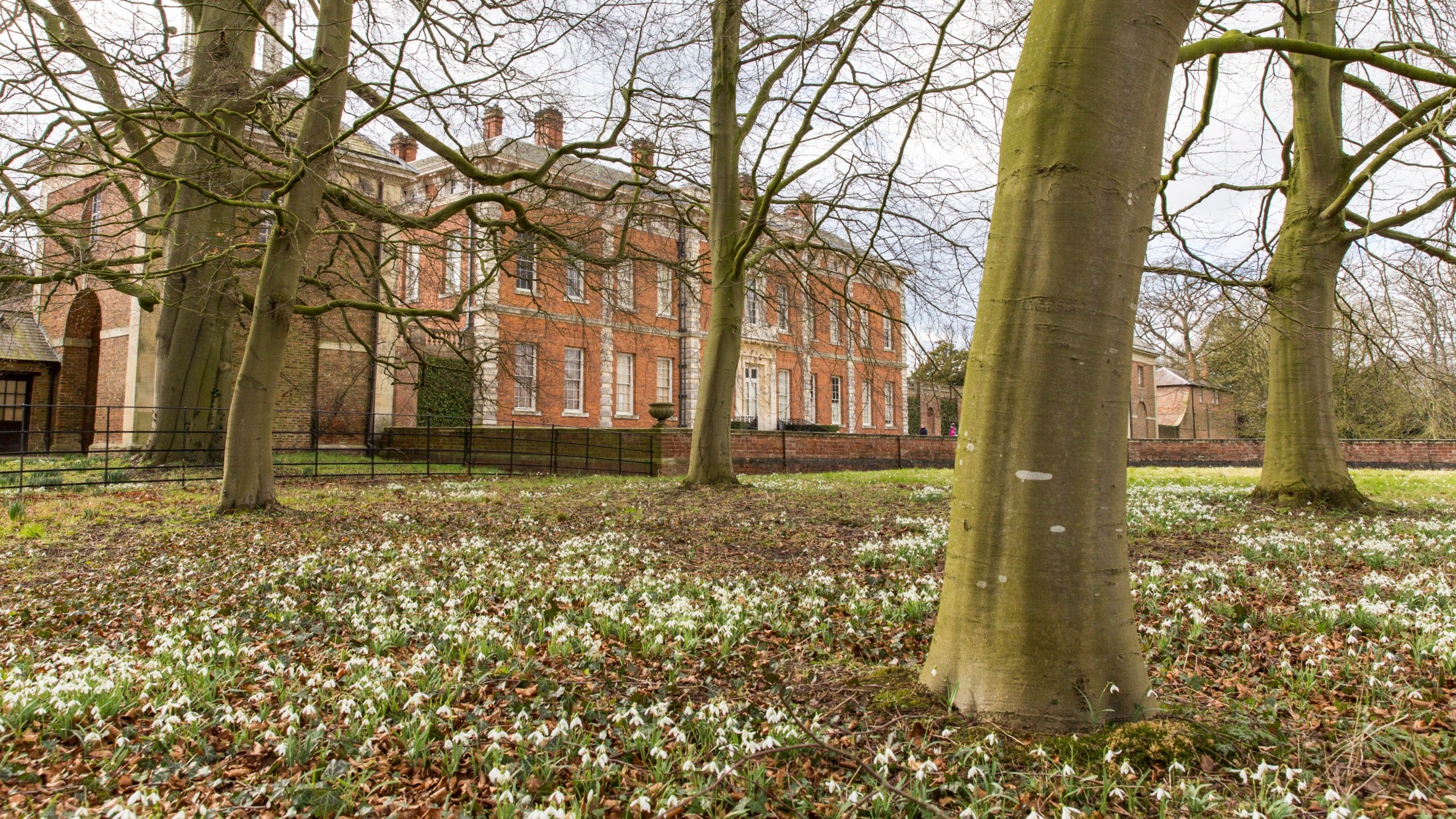 Are Dogs Allowed At Burnby Hall And Gardens