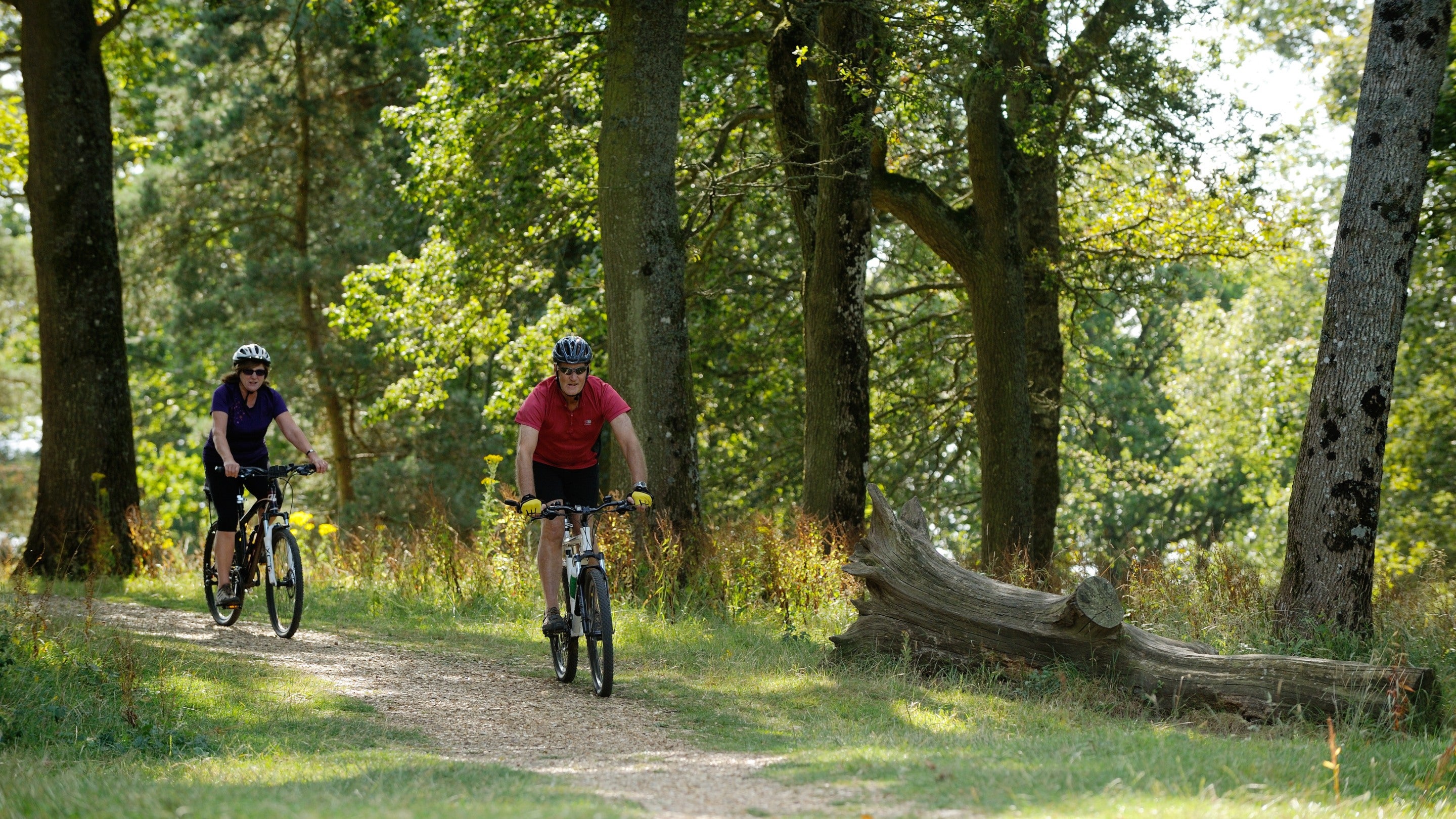 Best cycle routes | outdoor activities | National Trust