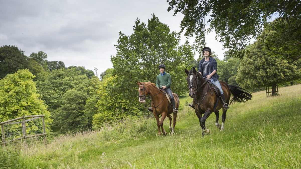 Horse riding at Stowe | Buckinghamshire | National Trust