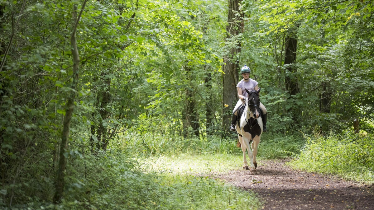 Top places to go horse riding | National Trust