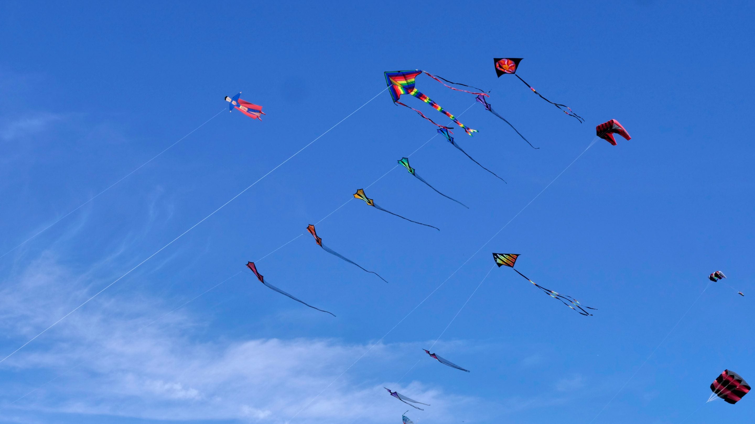 Visiting Win Green's estate | Wiltshire | National Trust