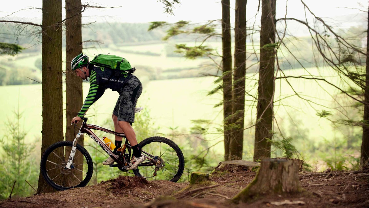 Cycling in Surrey, Sussex and Hampshire | National Trust