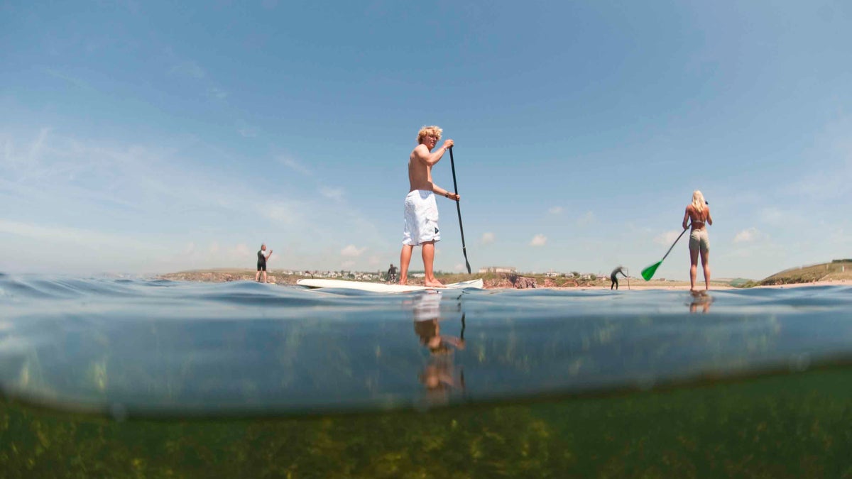 Outdoor activities Brownsea Island | Dorset | National Trust