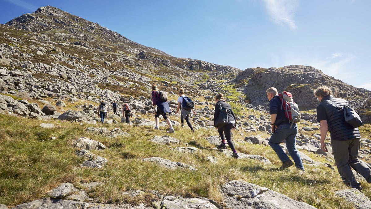 Top tips for summer walking | National Trust