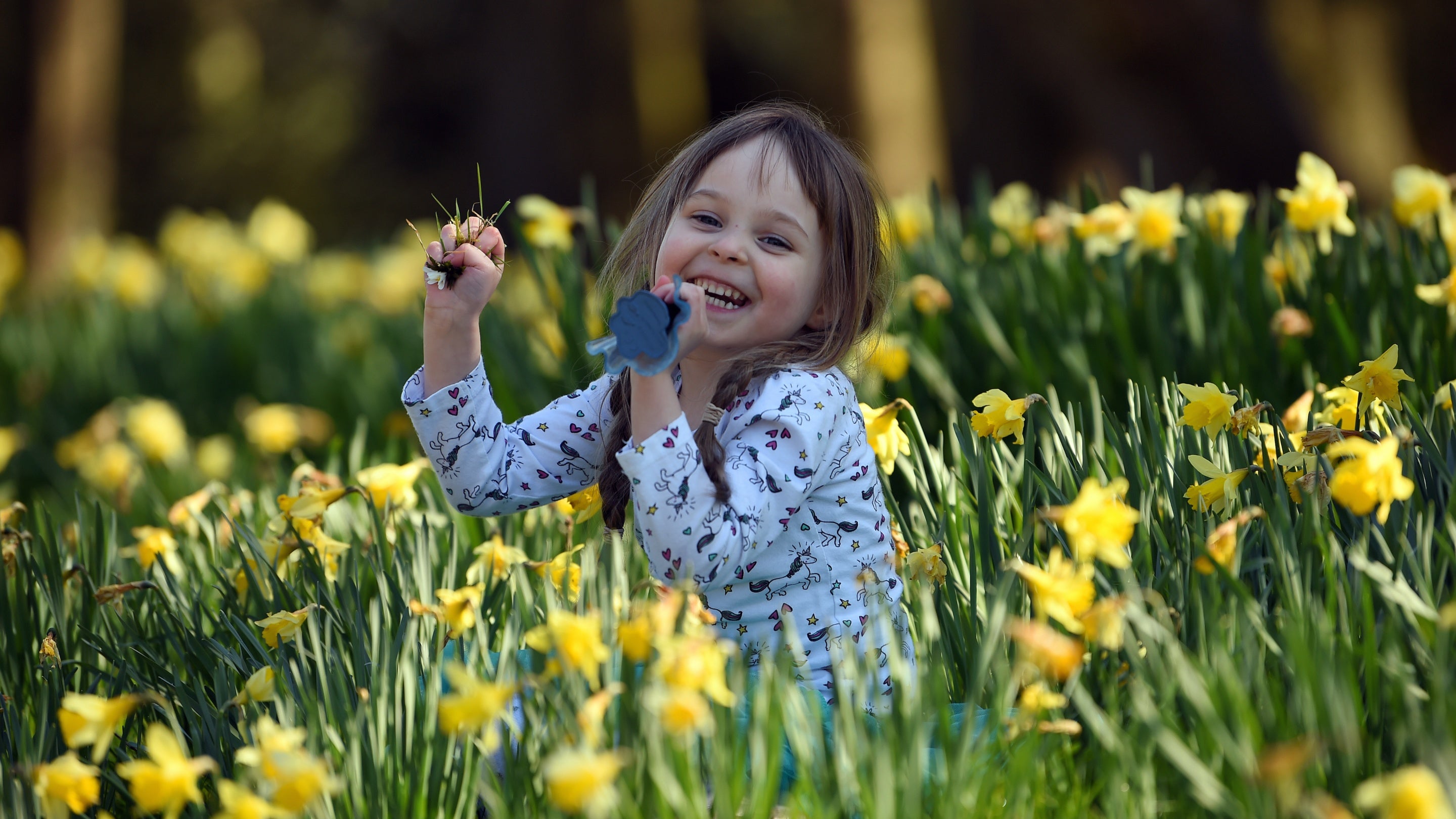 Erddig Hall and Garden| Wrexham | Wales | National Trust