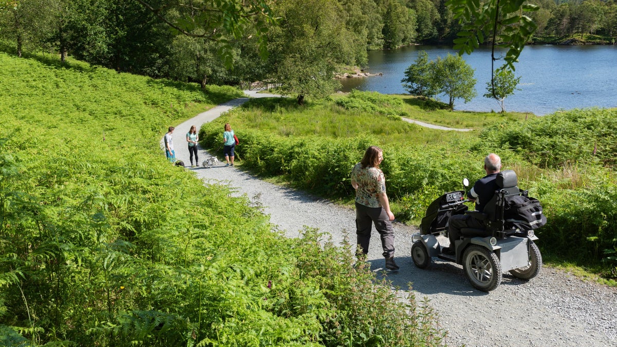 Tarn Hows circular walk | Lake District | National Trust