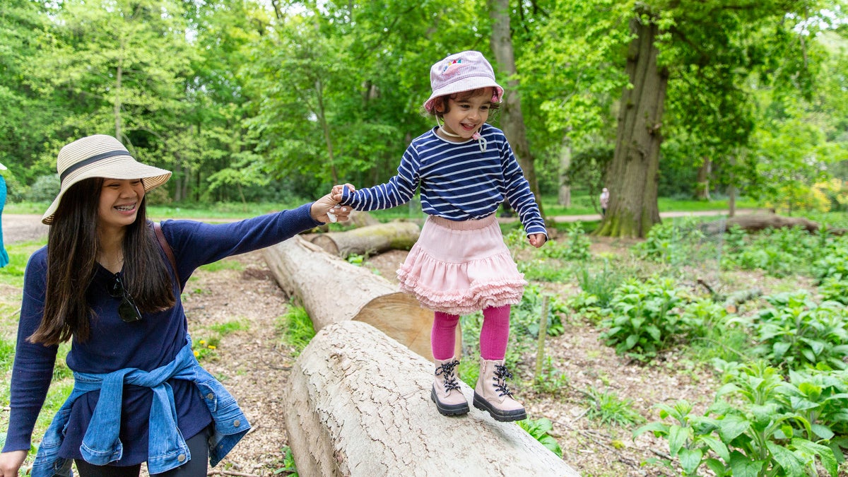 Family days out at Comer Woods, Shropshire | National Trust