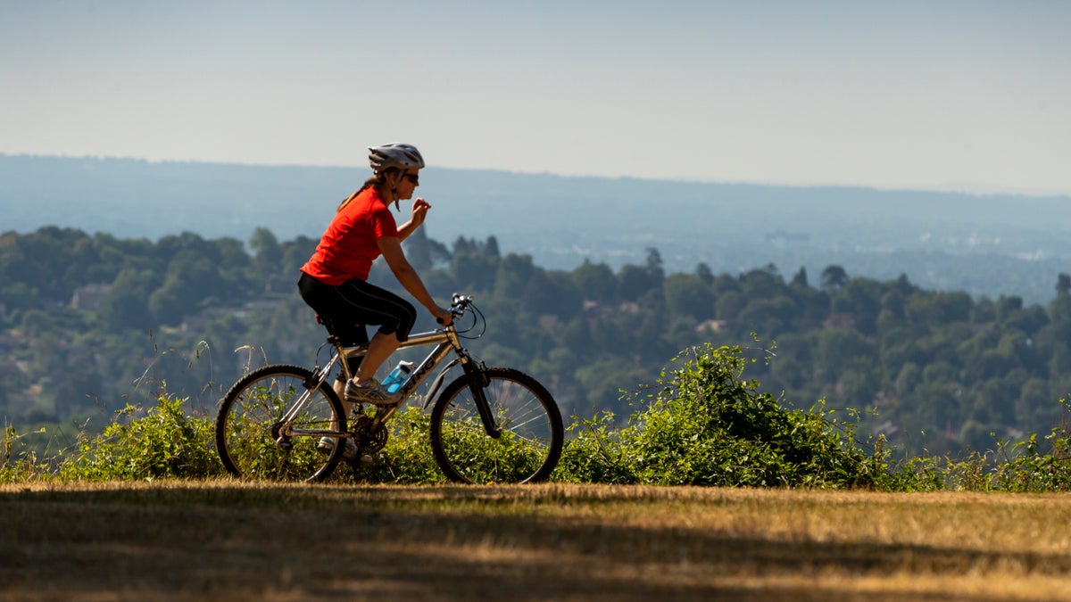 Best places for a longer bike ride | National Trust