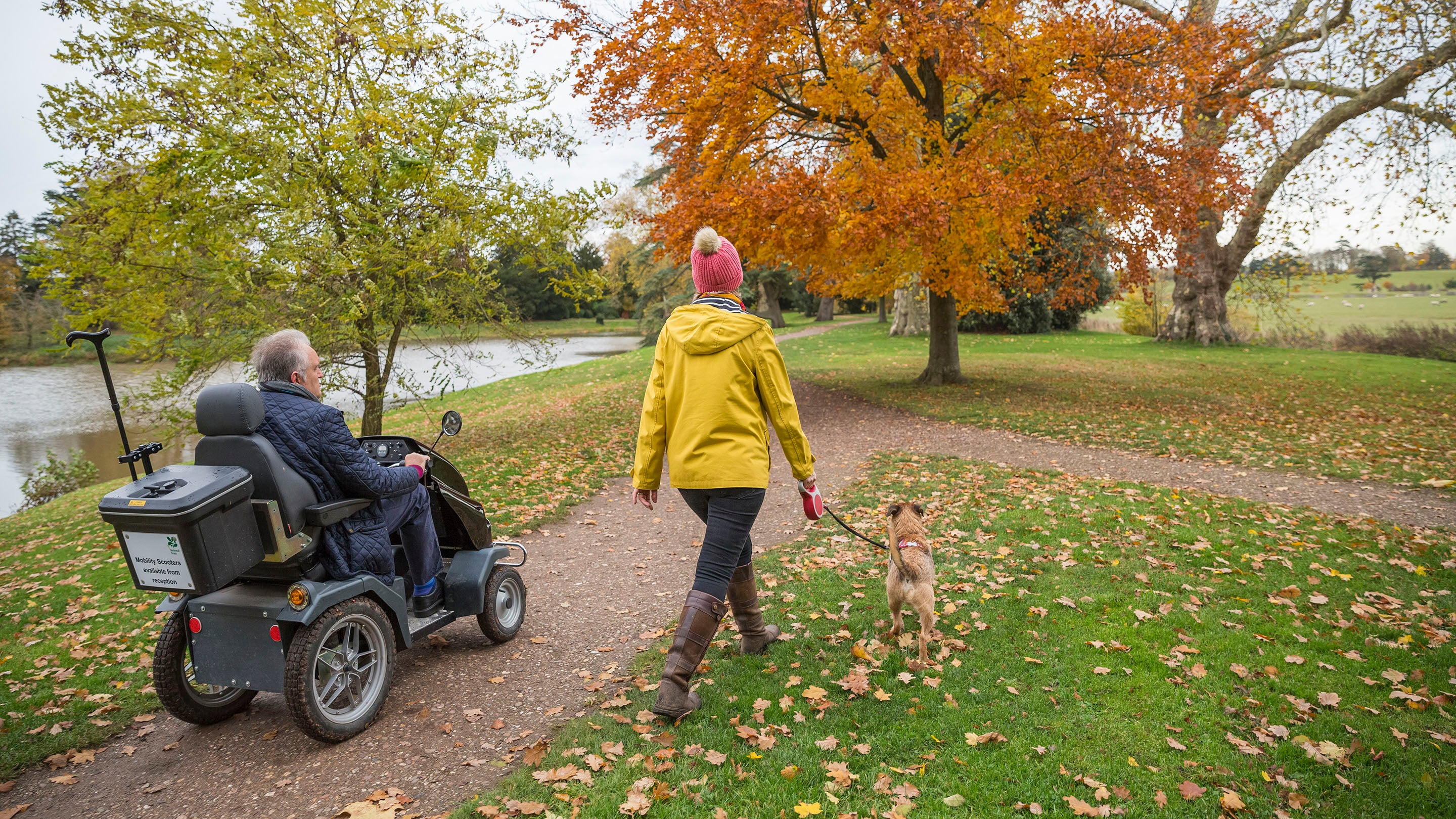 The parkland at Croome | Worcestershire | National Trust