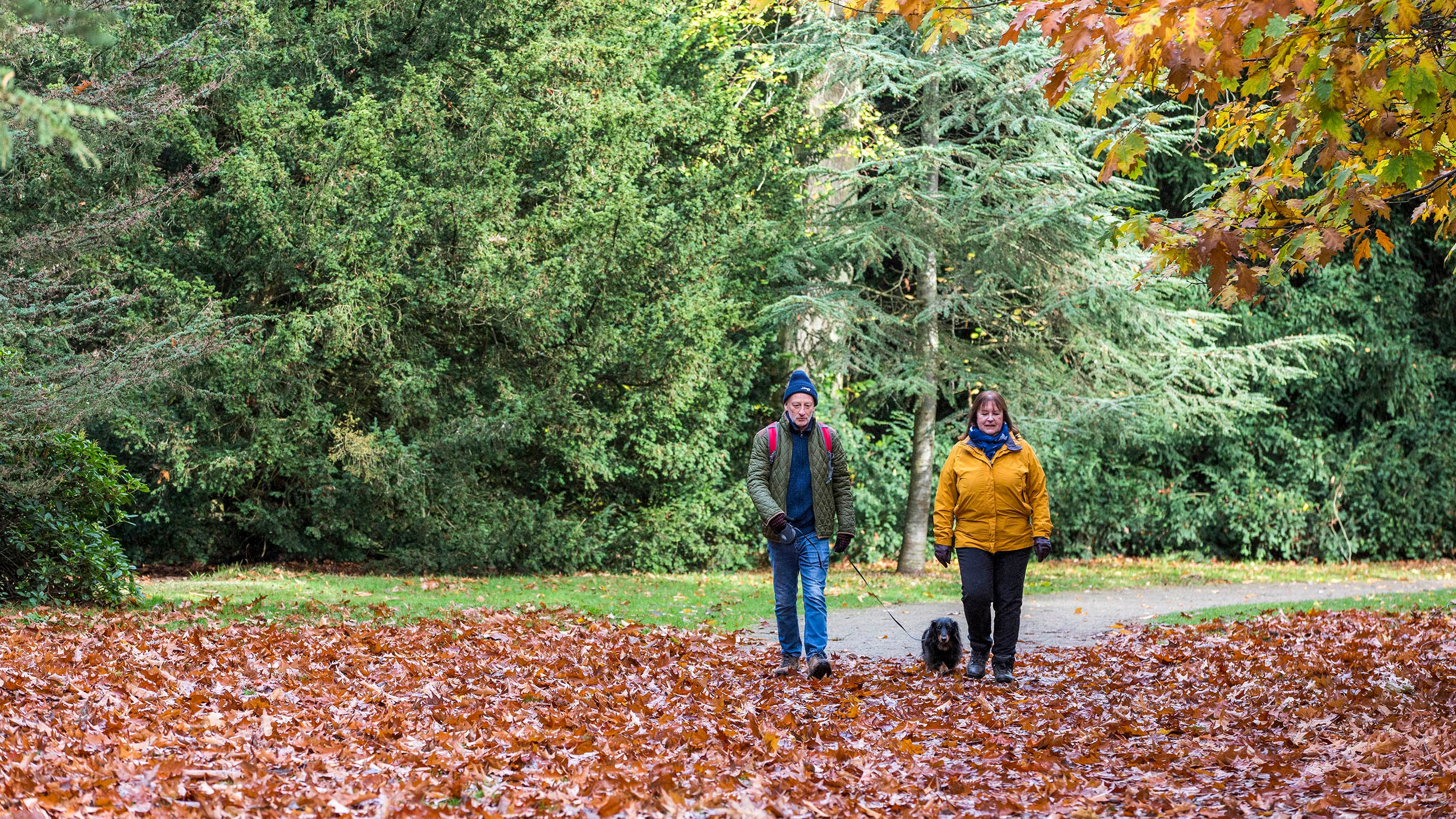 Top walks in Notts and Lincolnshire | National Trust