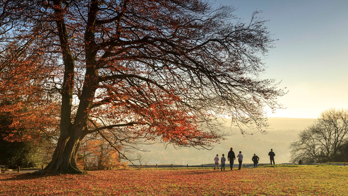 The Box Hill Hike | Box Hill | Surrey | National Trust