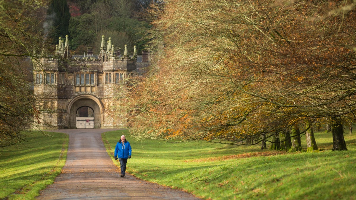 Lanhydrock Wood & Avenue walk | Cornwall | National Trust