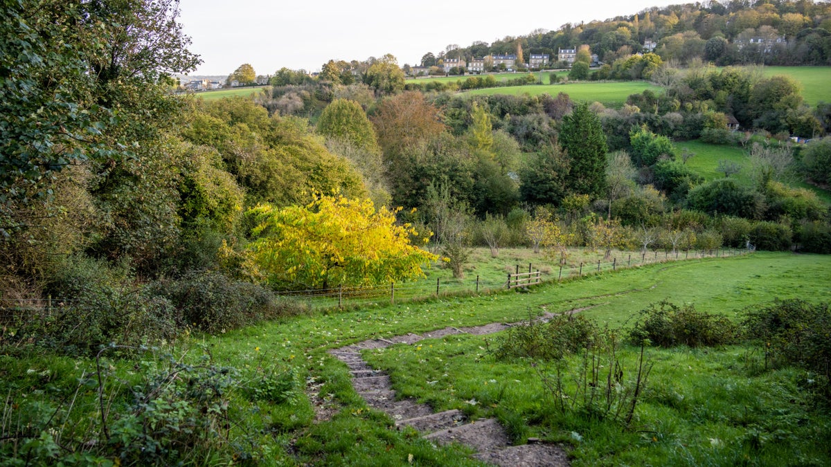 Bath Skyline walk | Bath & Bristol | National Trust