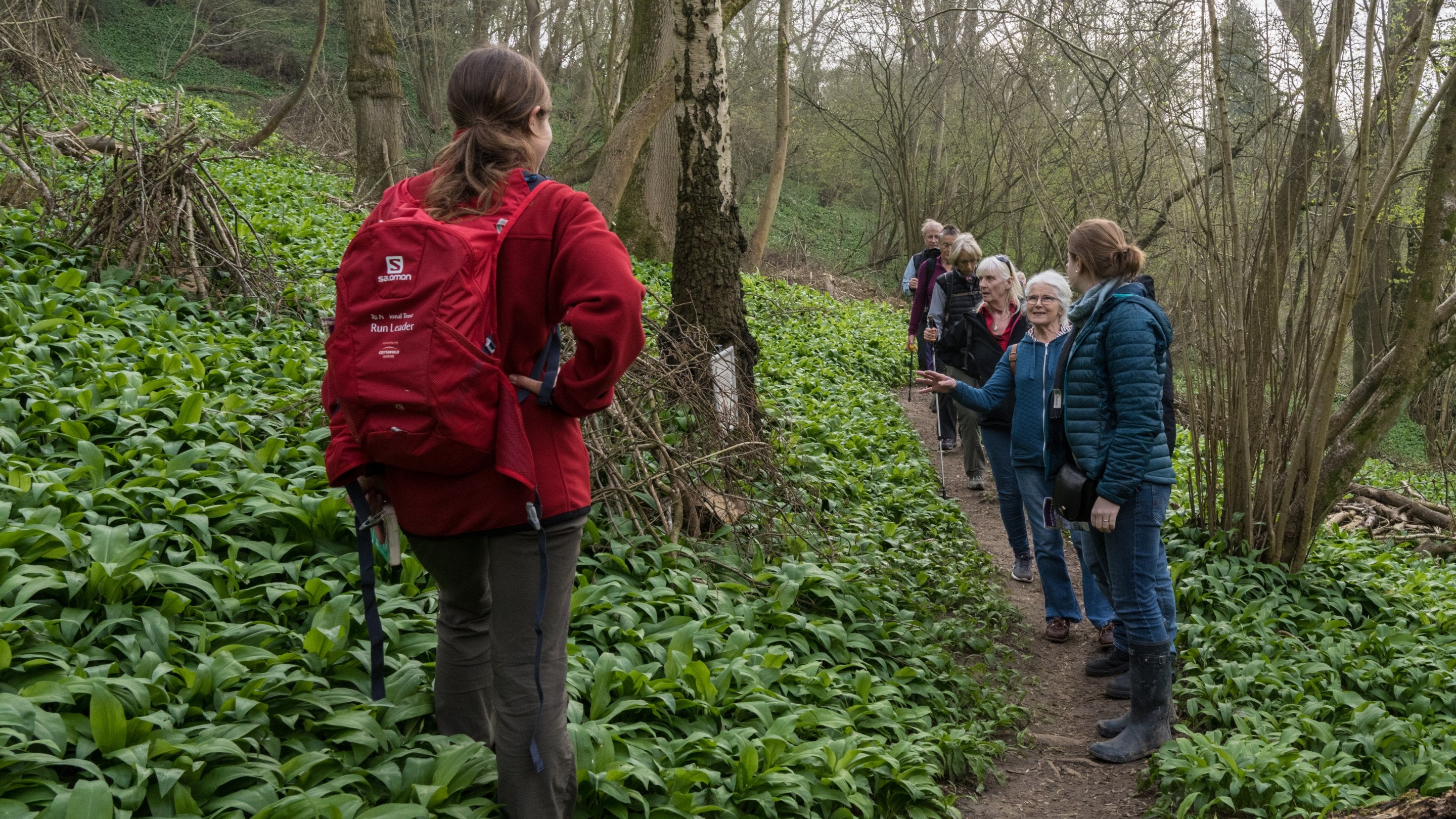 Things to see and do at Bath Skyline | Bath | National Trust