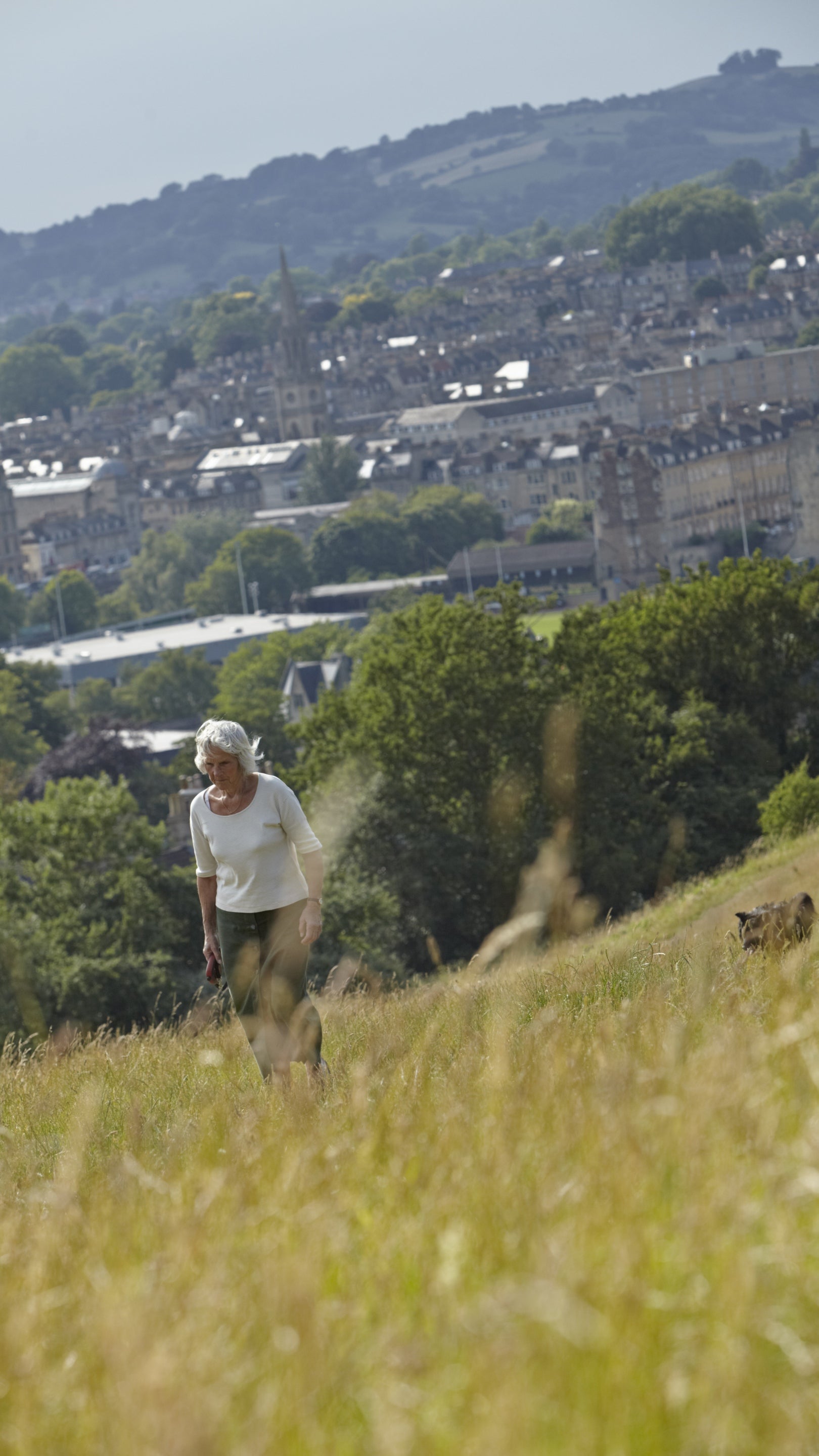 Things to see and do at Bath Skyline | Bath | National Trust