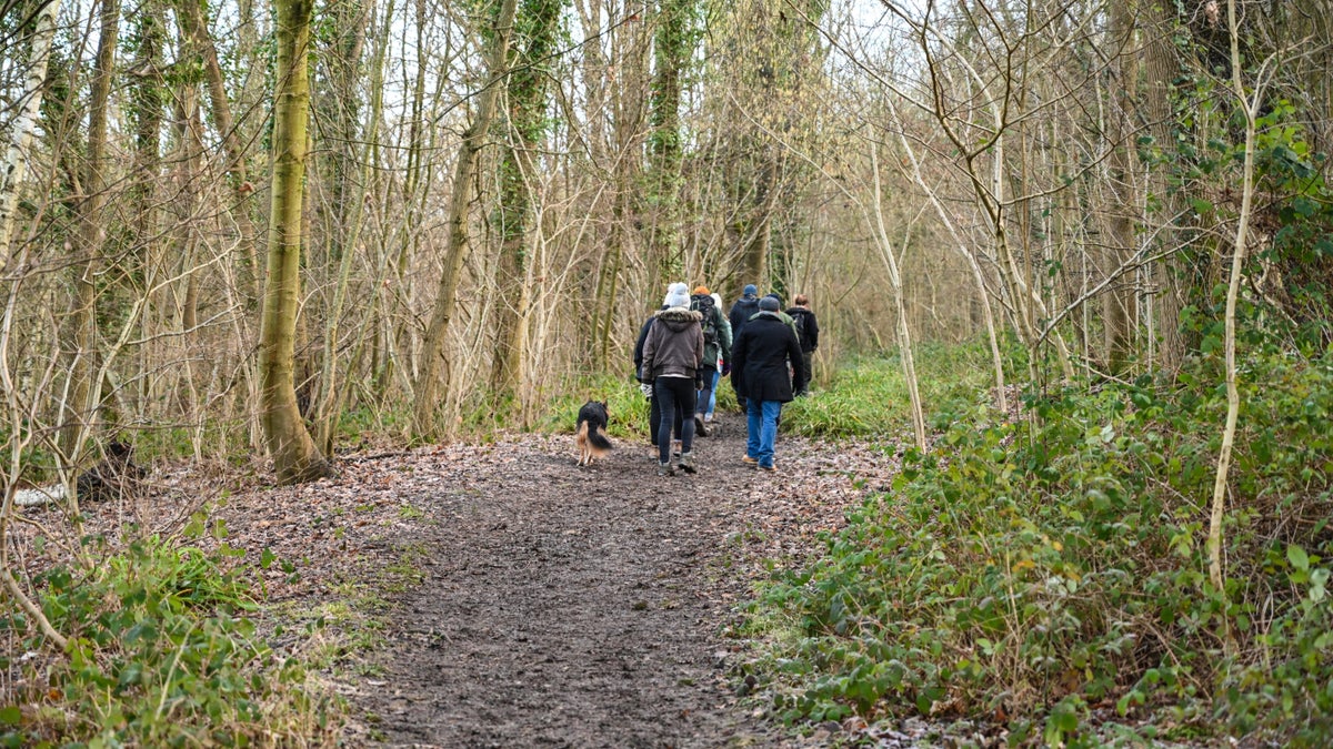 Things to see and do at Bath Skyline | Bath | National Trust