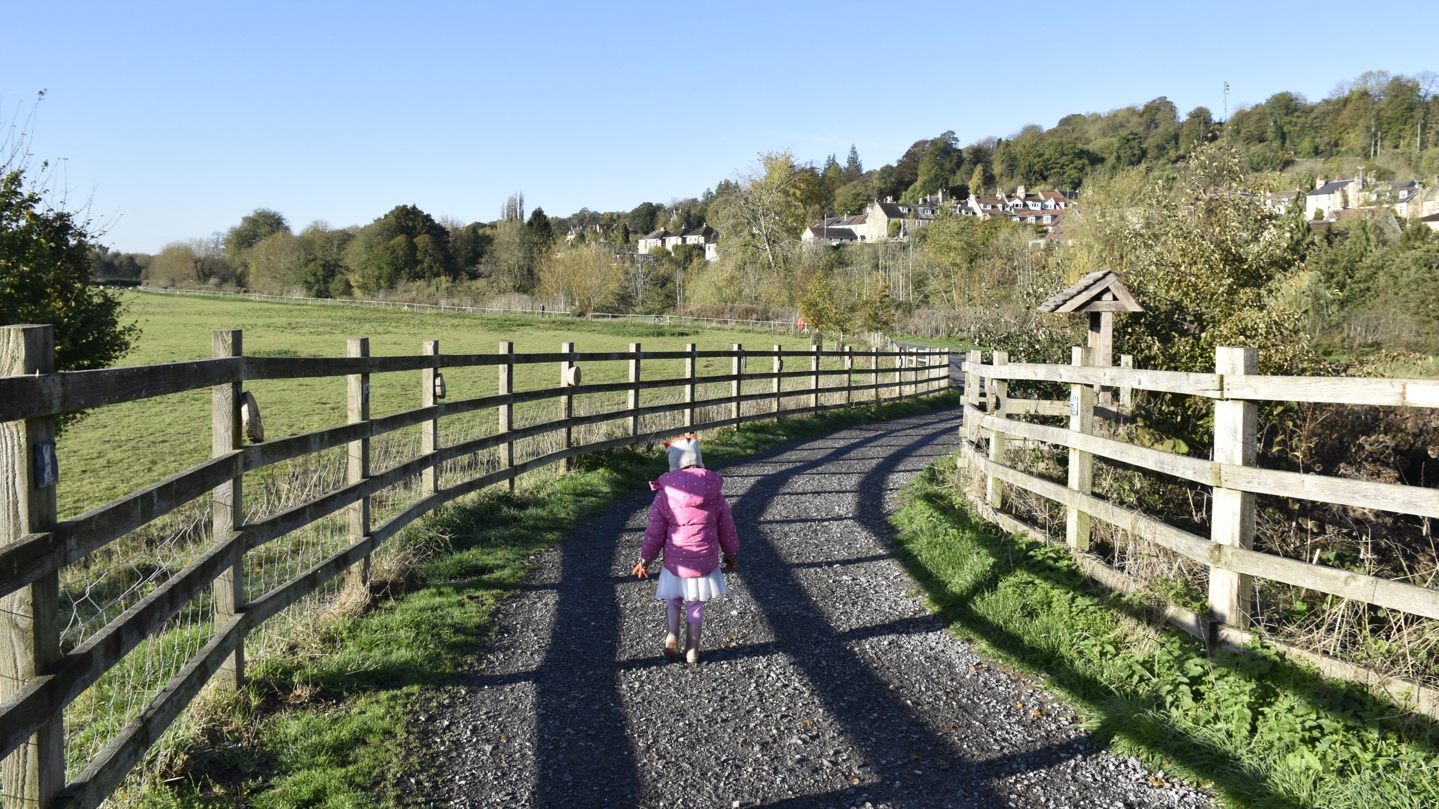Bathampton Meadows | Somerset | National Trust