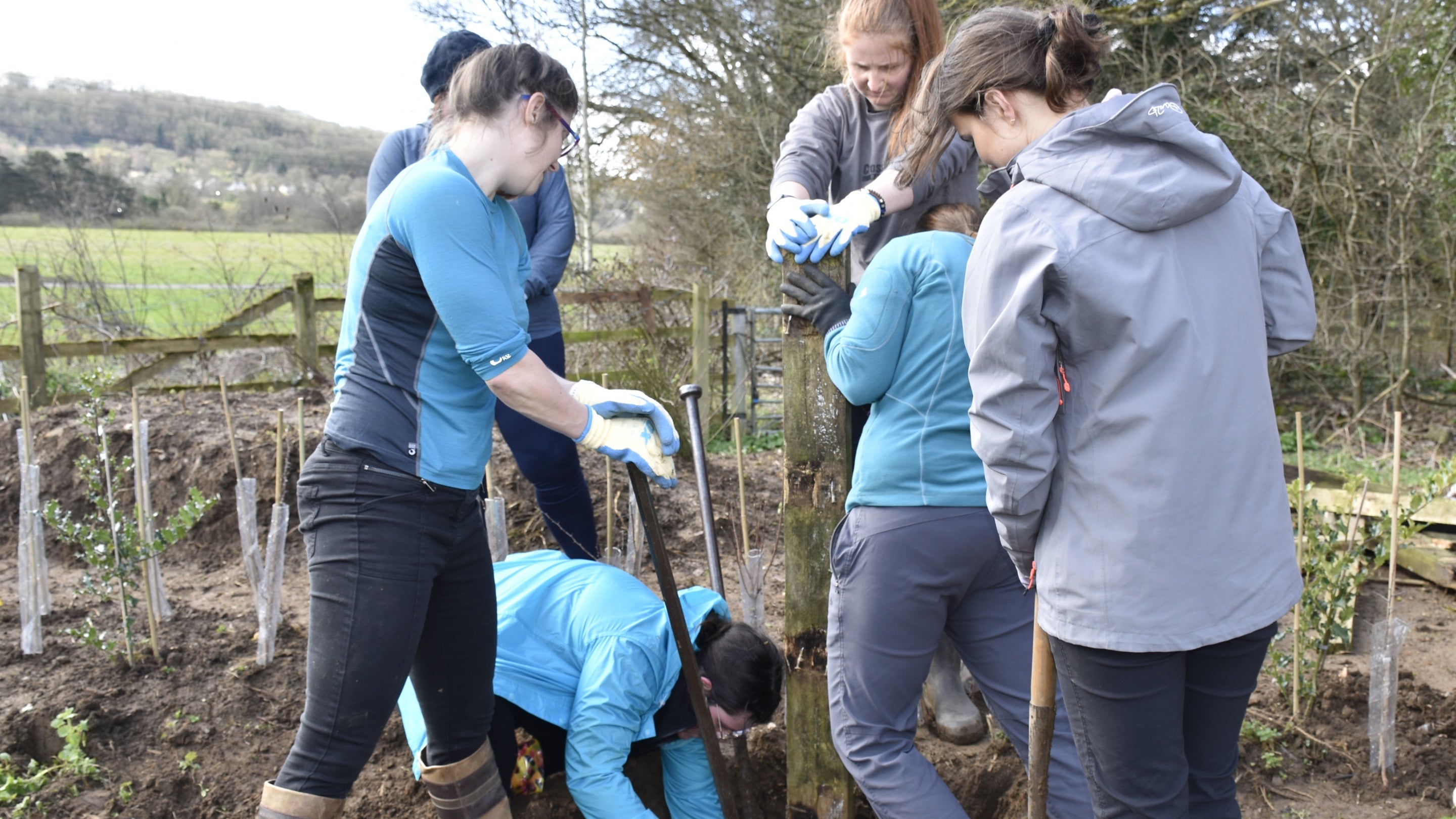 Bathampton Meadows | Somerset | National Trust