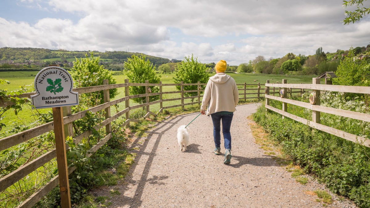 Things to see and do at Bathampton Meadows | National Trust
