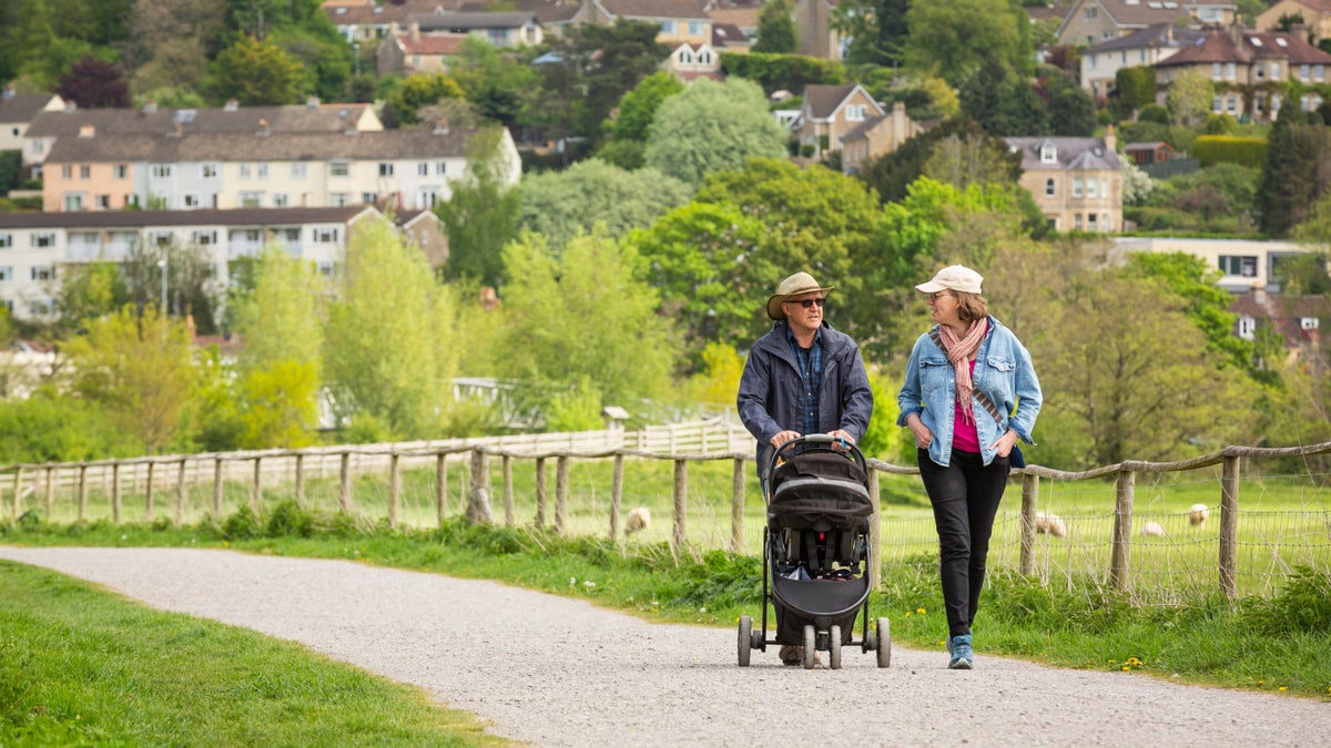Bathampton Meadows | Somerset | National Trust