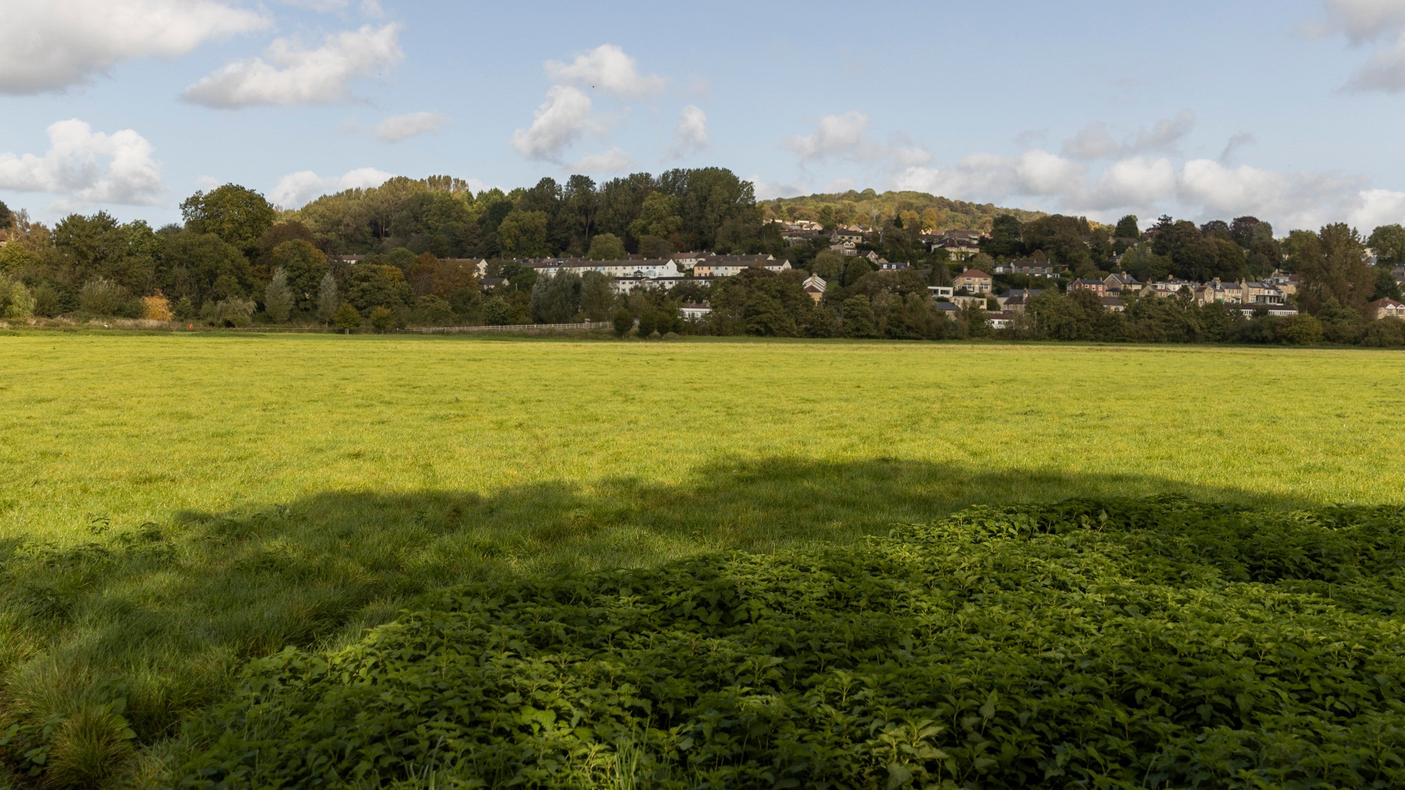 Bathampton Meadows | Somerset | National Trust