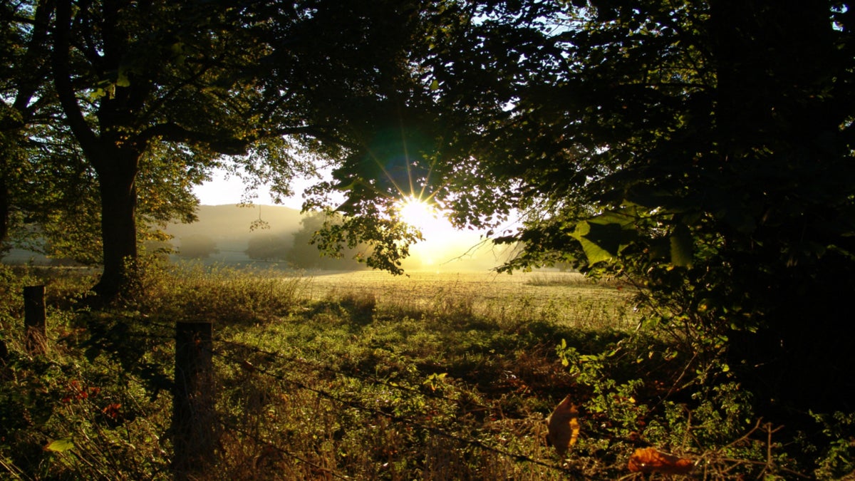 Tyntesfield woodland walk | Bristol | National Trust