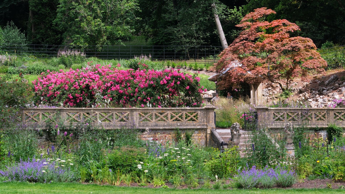 Visiting Tyntesfield's garden | Bristol | National Trust