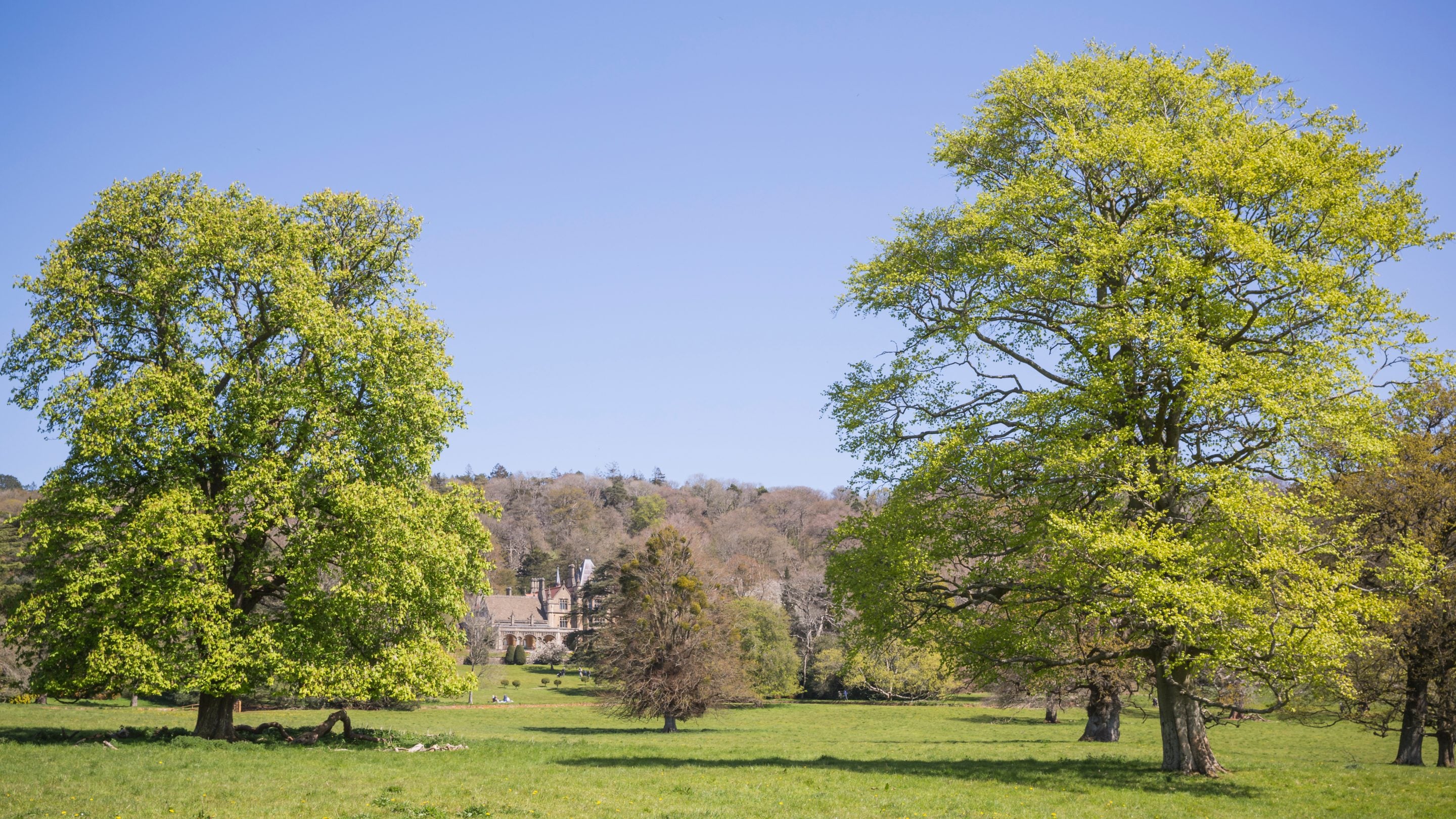 Visiting Tyntesfield's estate | Bristol | National Trust