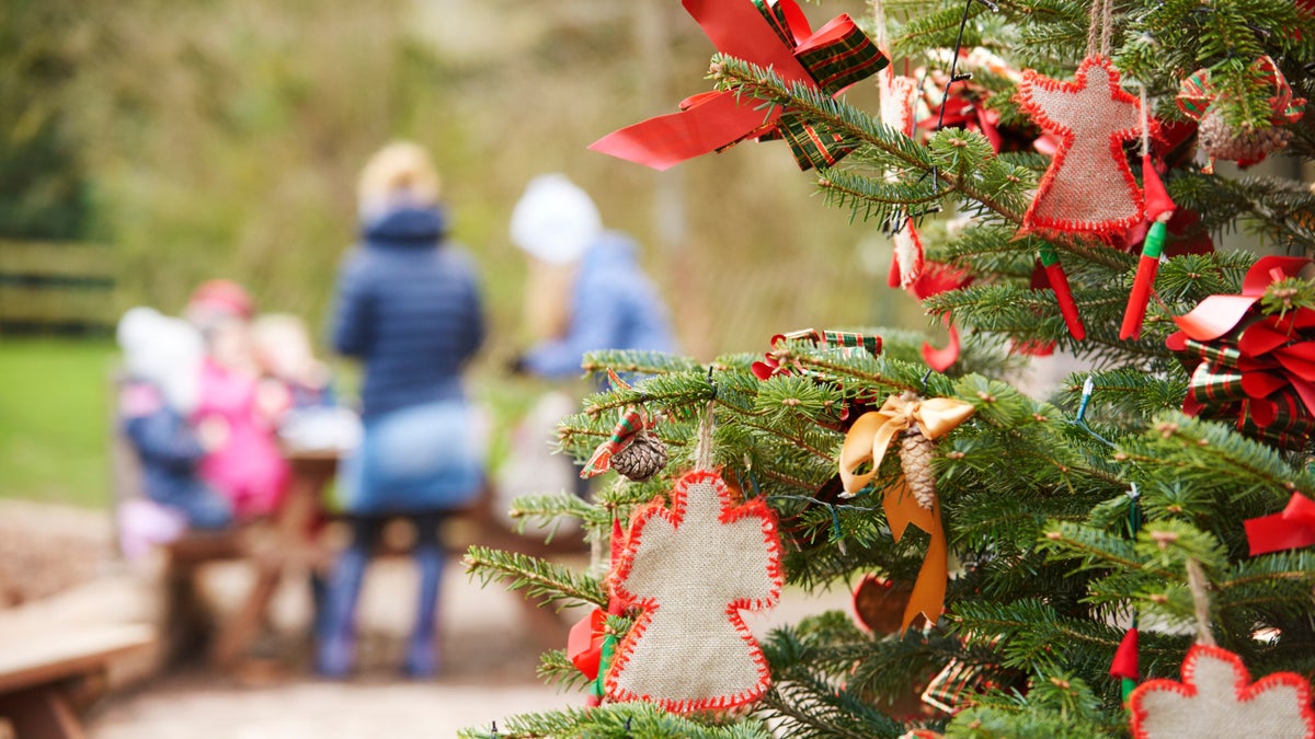 Christmas at Attingham Park | Shropshire | National Trust