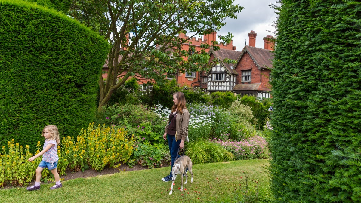 Dog walking at Wightwick | West Midlands | National Trust