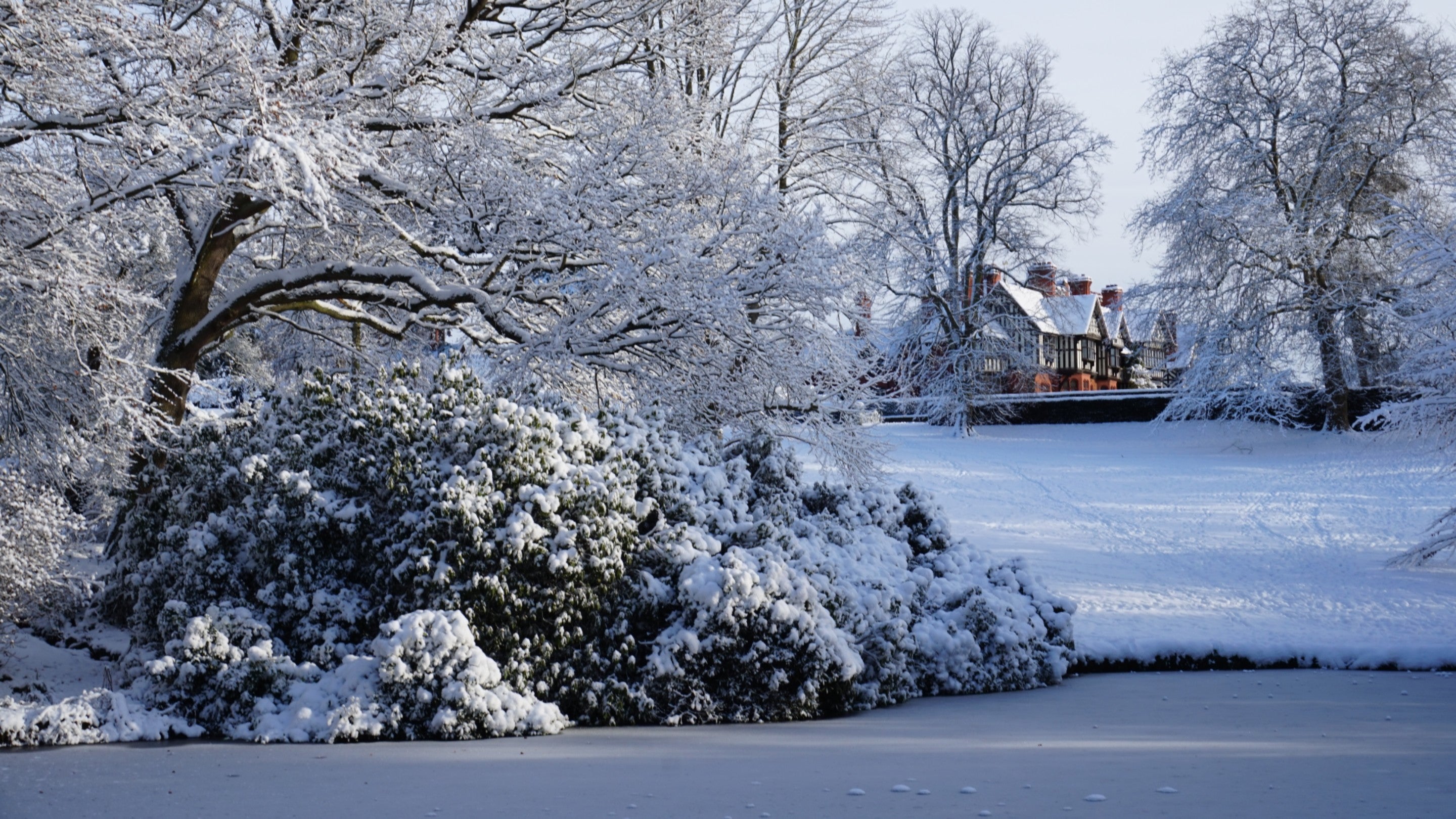 The garden at Wightwick | West Midlands | National Trust