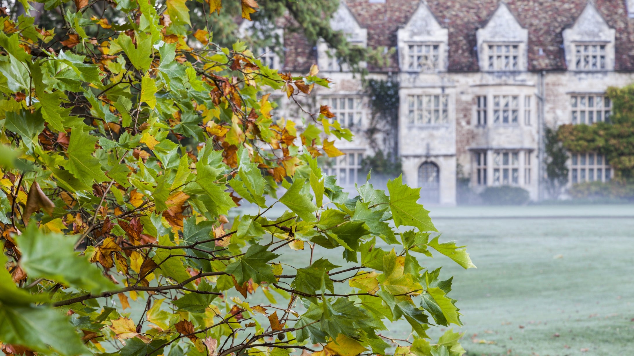 Anglesey Abbey, Gardens & Lode Mill | Cambs | National Trust