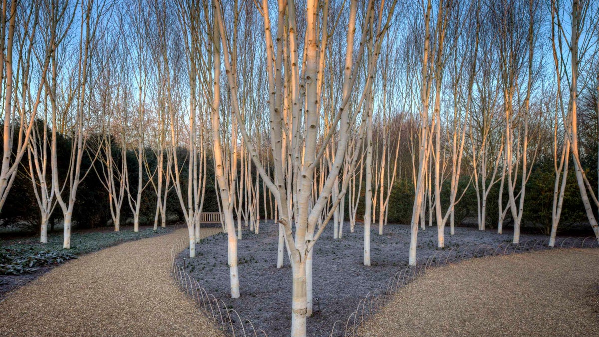 Anglesey Abbey's garden | Cambridgeshire | National Trust