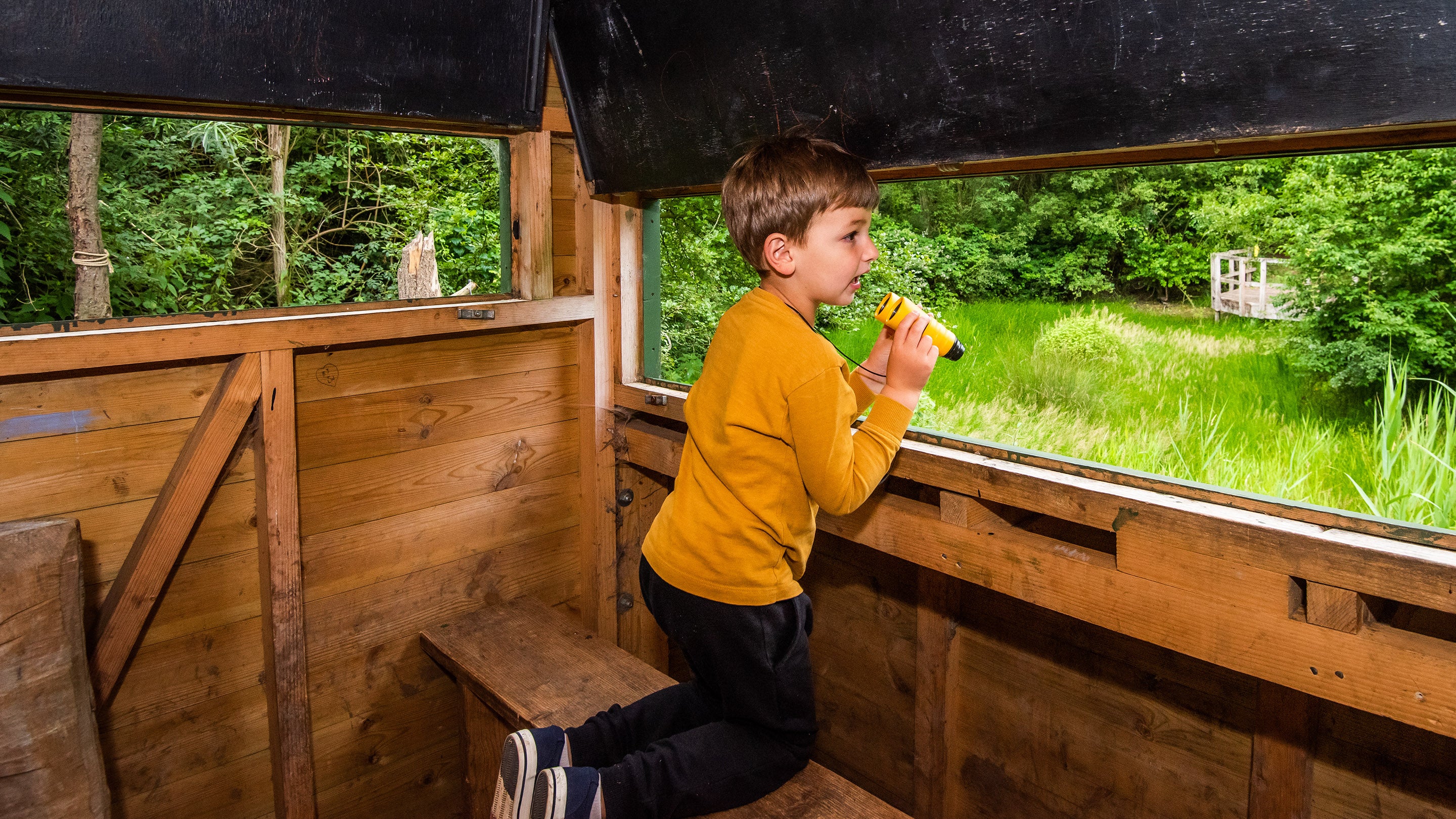 Days out with kids │ Anglesey Abbey | National Trust