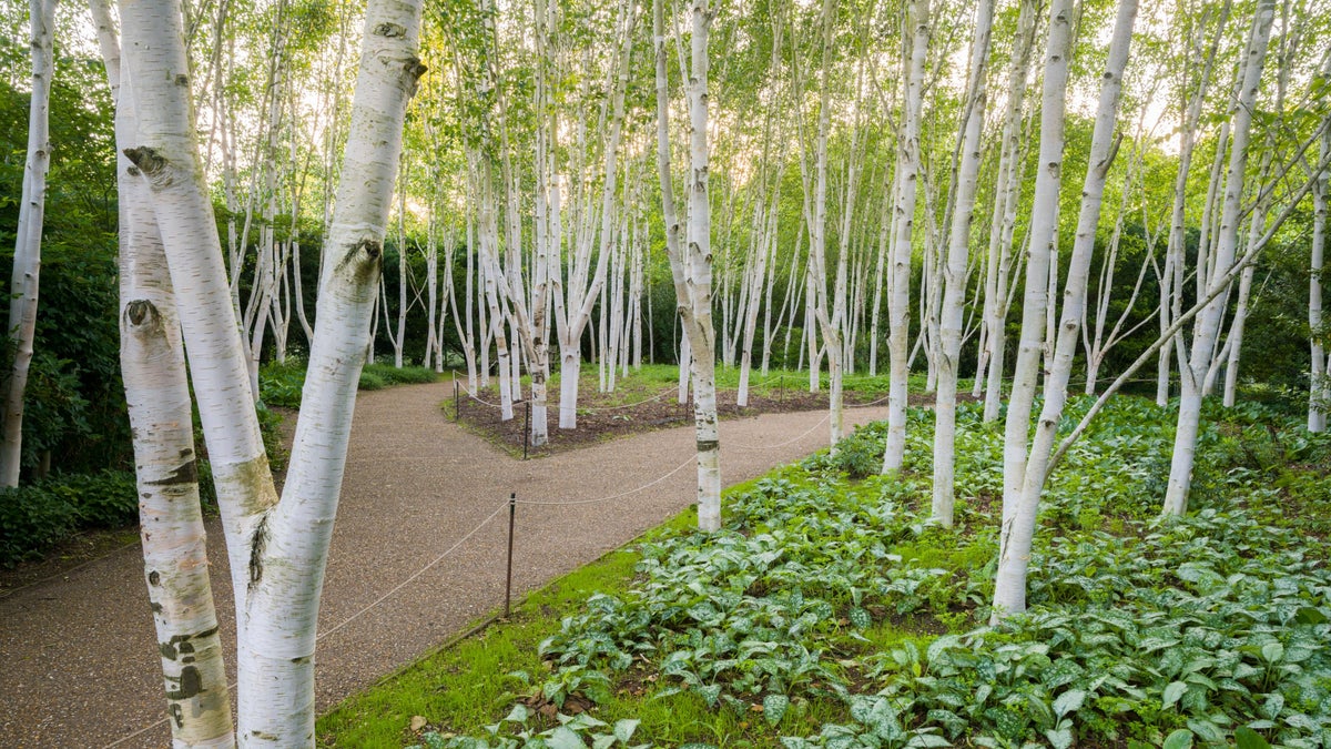 Anglesey Abbey's garden | Cambridgeshire | National Trust