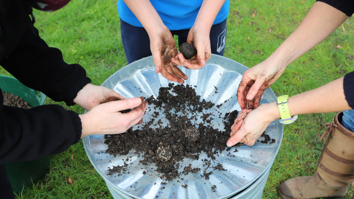 How to make wildflower seed balls | Crafts | National Trust